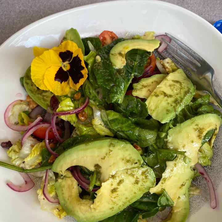 Pablo House - Melville Guest House Melville, Johannesburg, South Africa ...