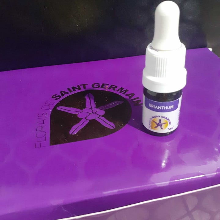 FSG Florais de Saint Germain erianthum essência de estoque Review ...