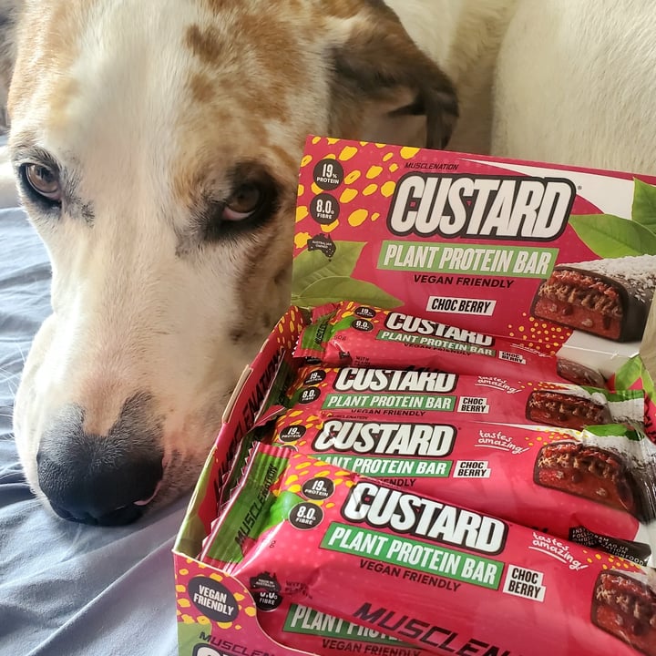 MuscleNation Custard Plant Protein Bar Choc Berry Review | abillion