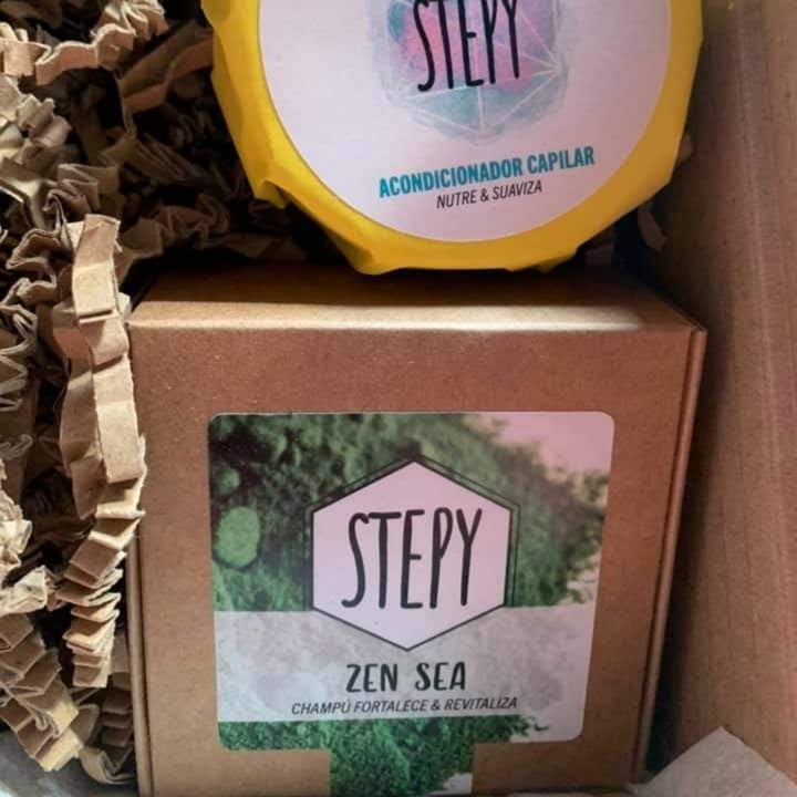 Stepy Zen sea Review | abillion