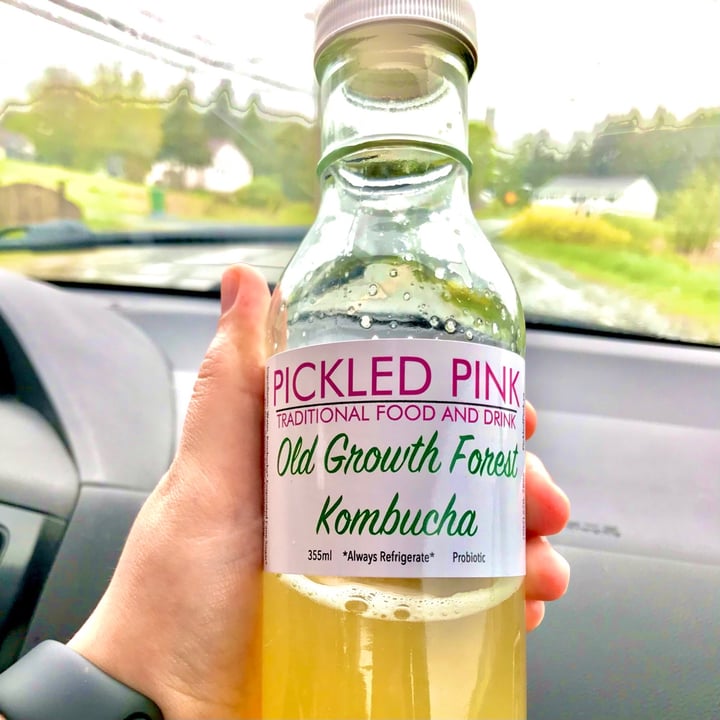 Pickled Pink Old Growth Forest Kombucha Review | abillion