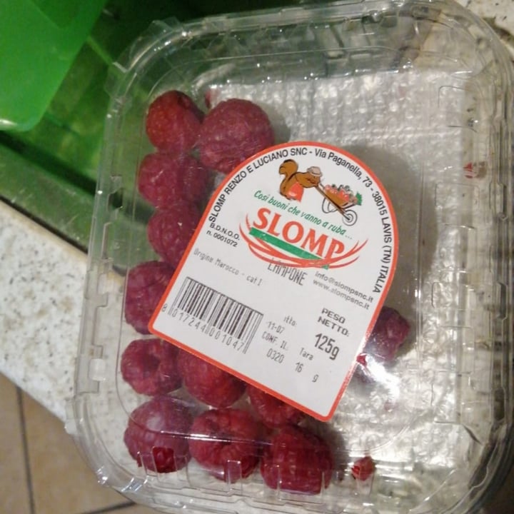 Slomp Lamponi Review | abillion