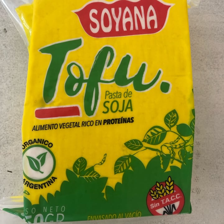Soyana Tofu Review | abillion