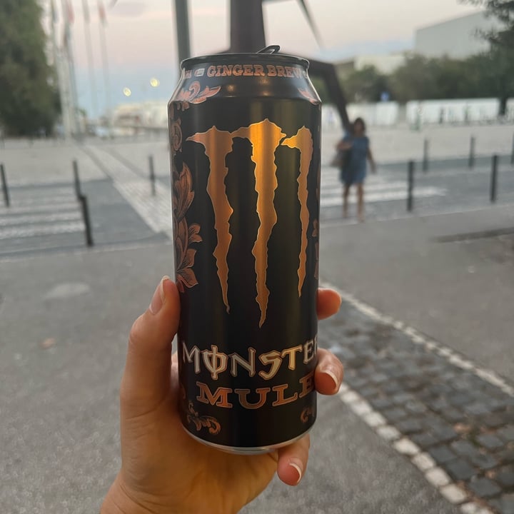 Monster Energy Ginger Brew Review | abillion