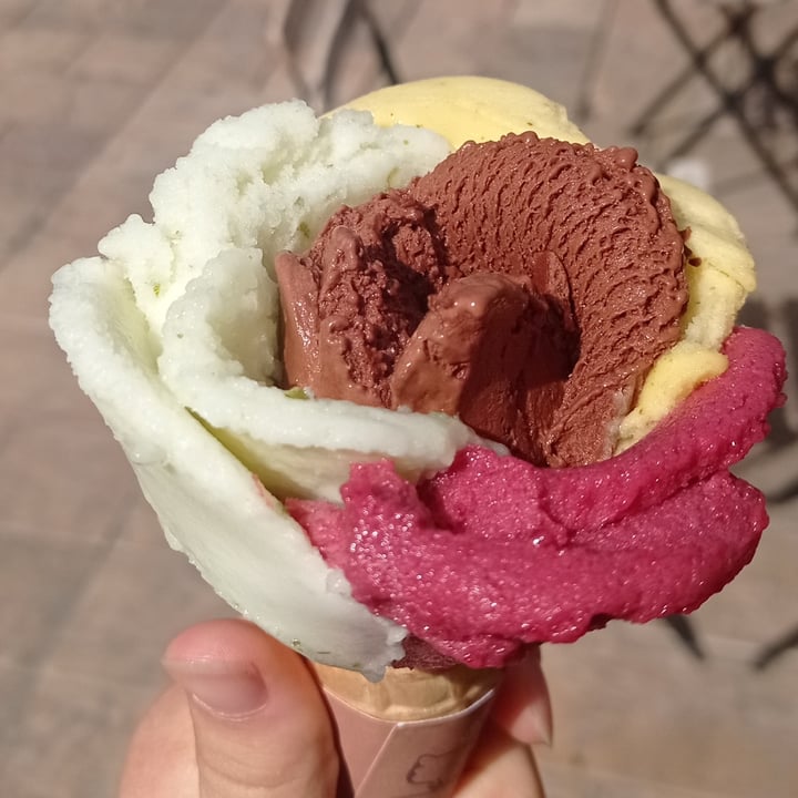 Amorino Thionville Thionville, France Gelato Gusti Frutta Review | abillion