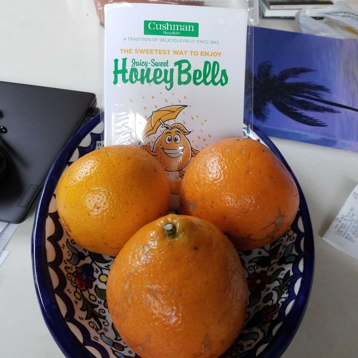 Cushman Reviews | abillion