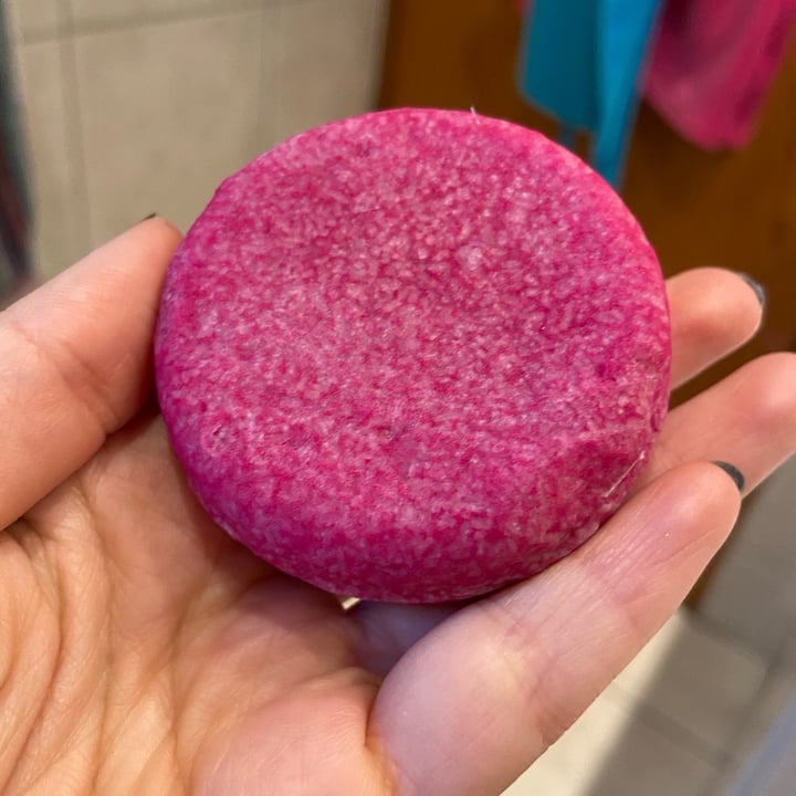 LUSH Fresh Handmade Cosmetics Jason and the Argan Oil Shampoo Bar ...