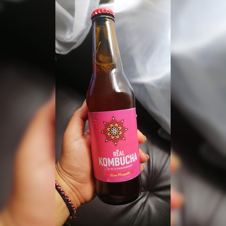 Real kombucha Kombucha Rosa Mosqueta Review | abillion