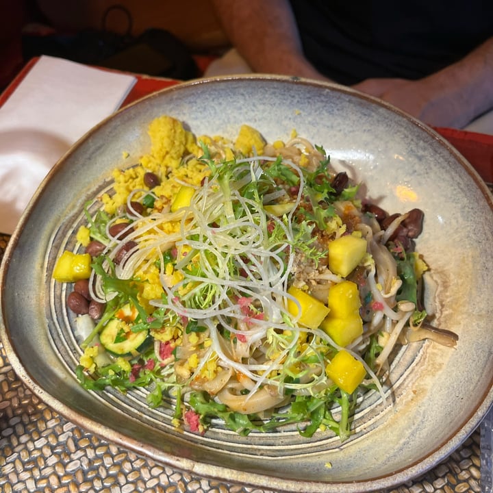 GaYaYa Mitte, Berlin, Germany Pad Thai Rice Noodles Review | abillion