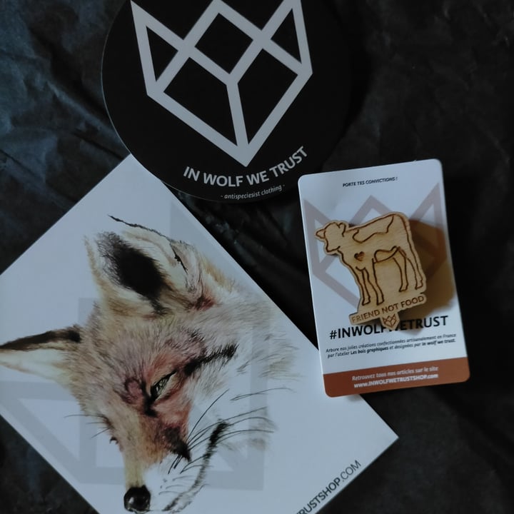 In wolf we trust Reviews | abillion