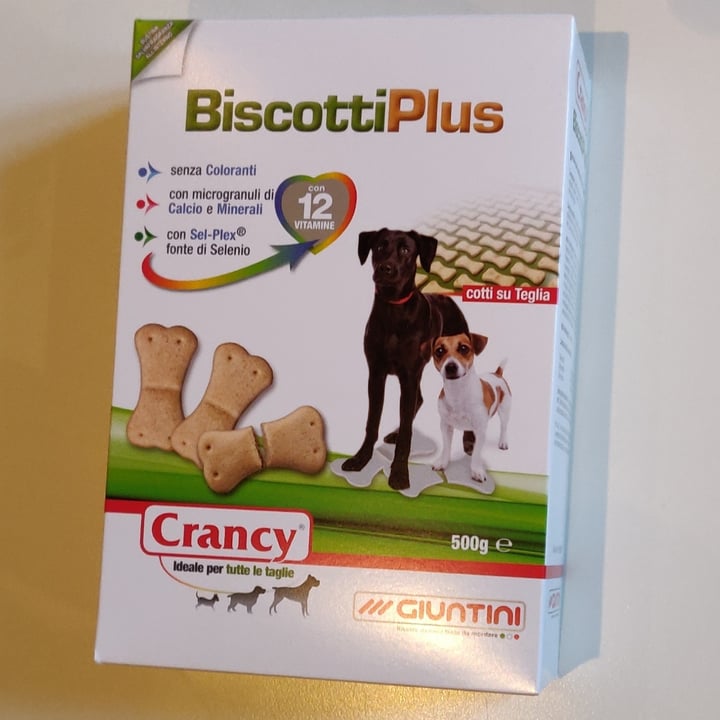 Giuntini Reviews | abillion