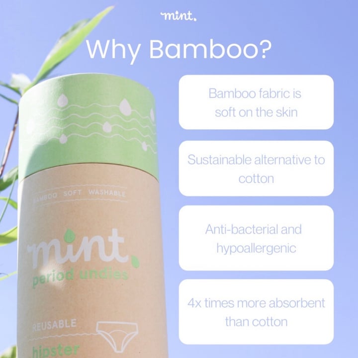 Mint Global Period Undies Review | abillion