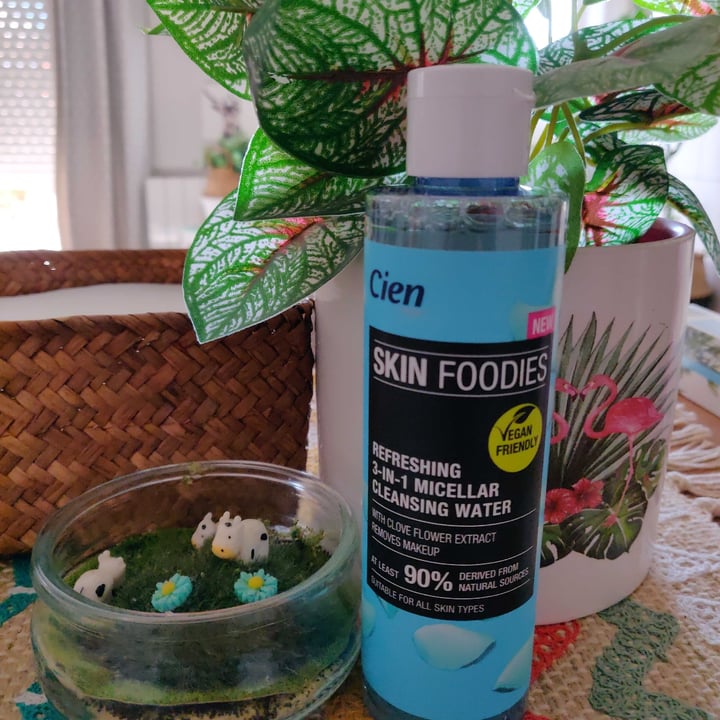 Cien Refreshing 3-in-1 Micellar Cleansing Water Review | abillion