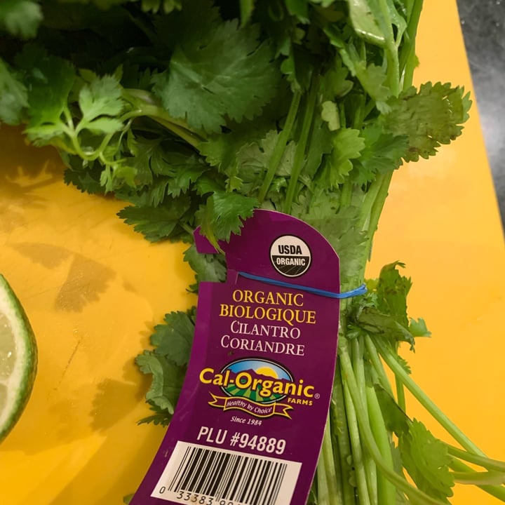 Cal Organic Farms Organic Cilantro Review | abillion