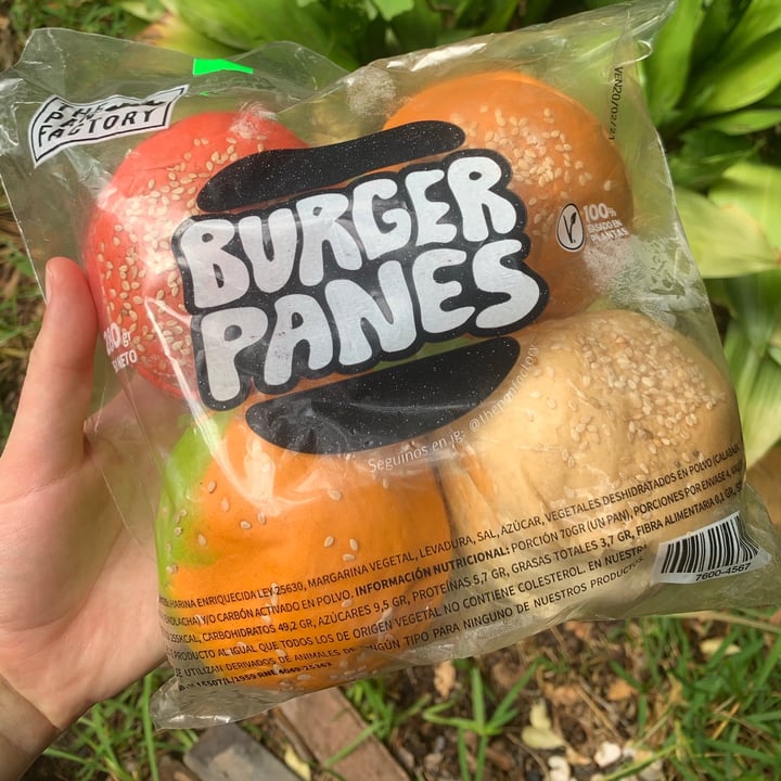 The Pan Factory Burger Panes Review | abillion