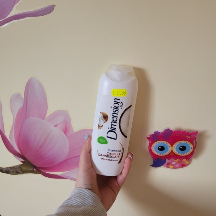 Dimension Shampoo capelli danneggiati Review | abillion