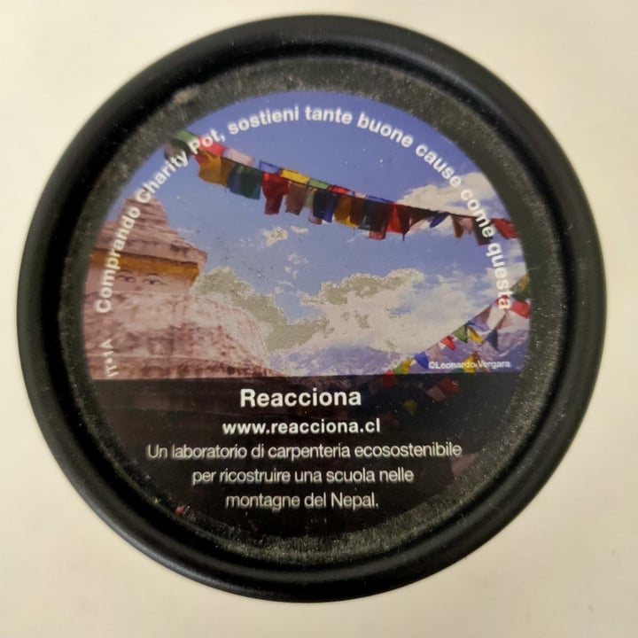 LUSH Fresh Handmade Cosmetics Charity Pot Review | abillion