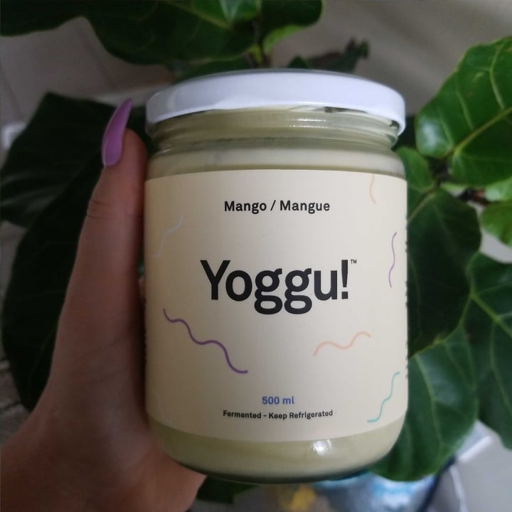 Yoggu! Yoggu Mango Review | abillion