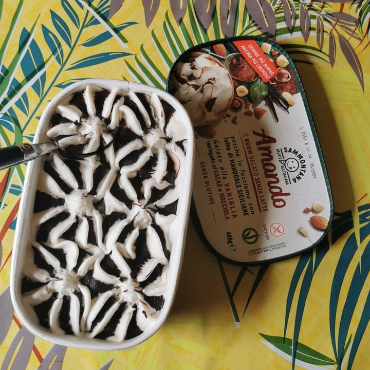 Sammontana Amando gelato alla vaniglia variegato al cacao e nocciola Review | abillion