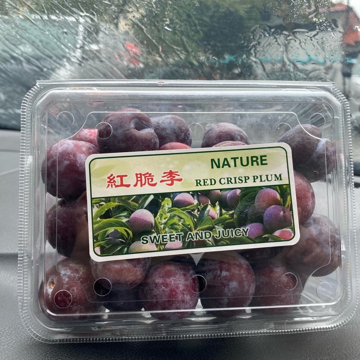 Nature Red Crisp Plum Review | abillion