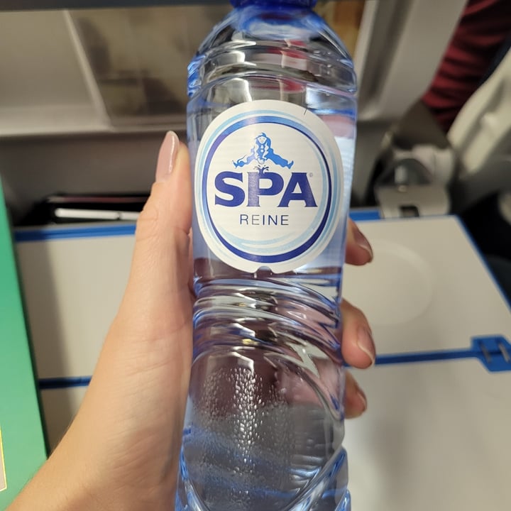 Spa Reine water Review | abillion