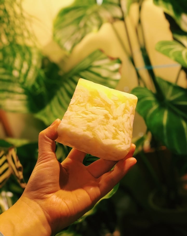 LUSH Fresh Handmade Cosmetics Bohemian Soap Reviews | abillion