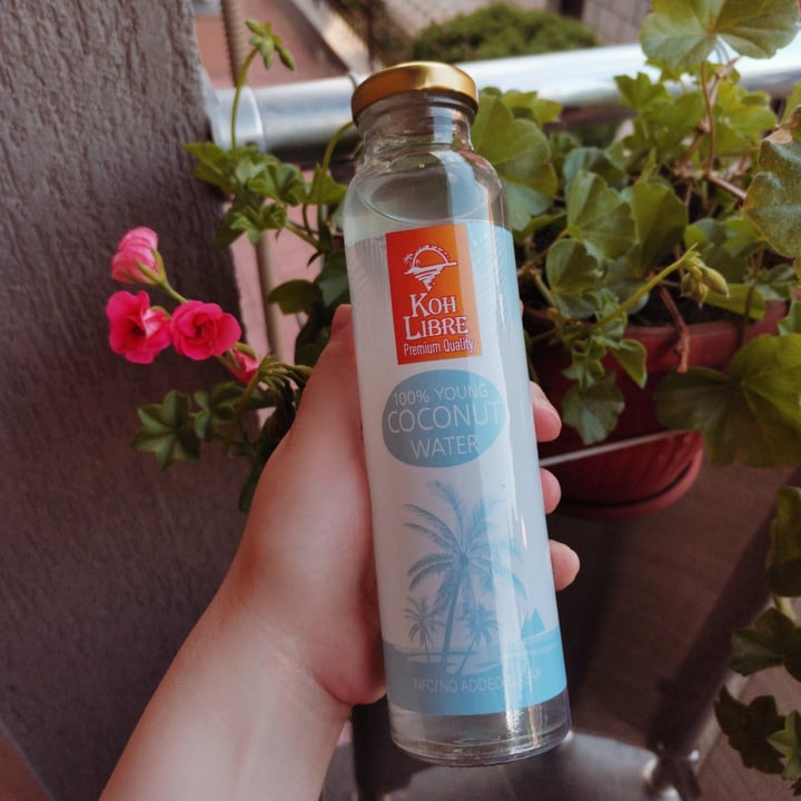 Koh libre Coconut water glass Review | abillion