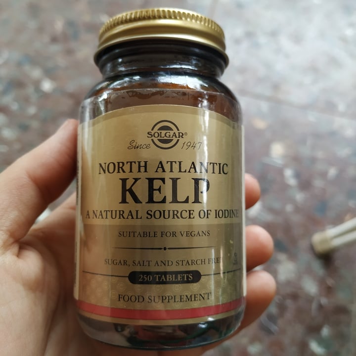 Solgar North Atlantic Kelp Review | abillion
