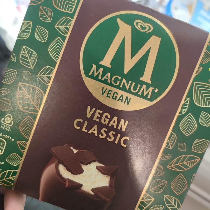 Magnum Vegan classic Review | abillion