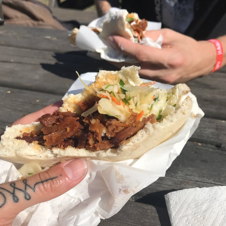 Saarihelvetti Vegem Seitan Pita Review | abillion