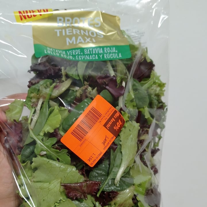 Edulis Brotes Tiernos Maxi Review | abillion