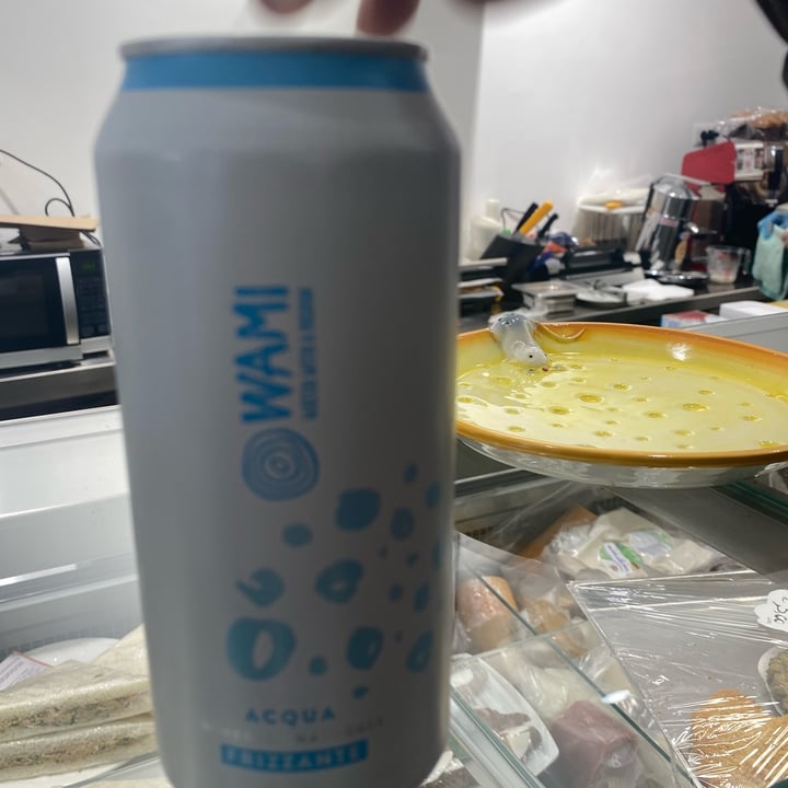 Wami srl Water with a mission Review | abillion
