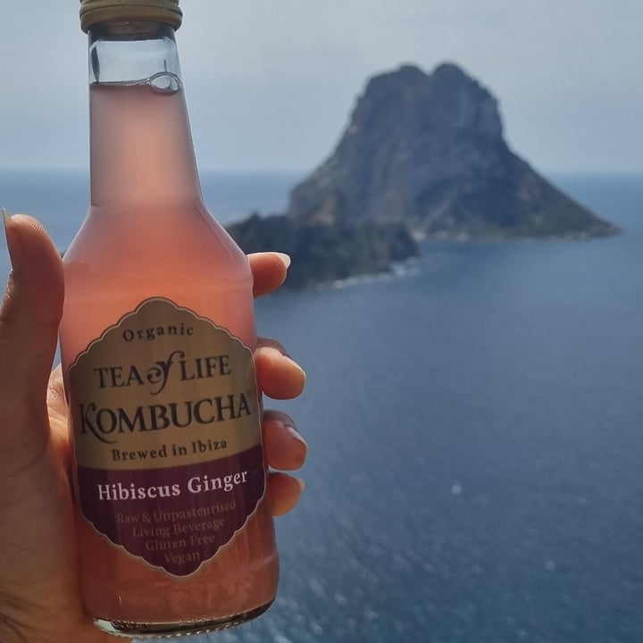 Tea of life Kombucha Hibiscus ginger Review | abillion