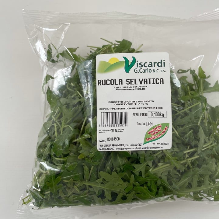 Viscardi Rucola Review | abillion