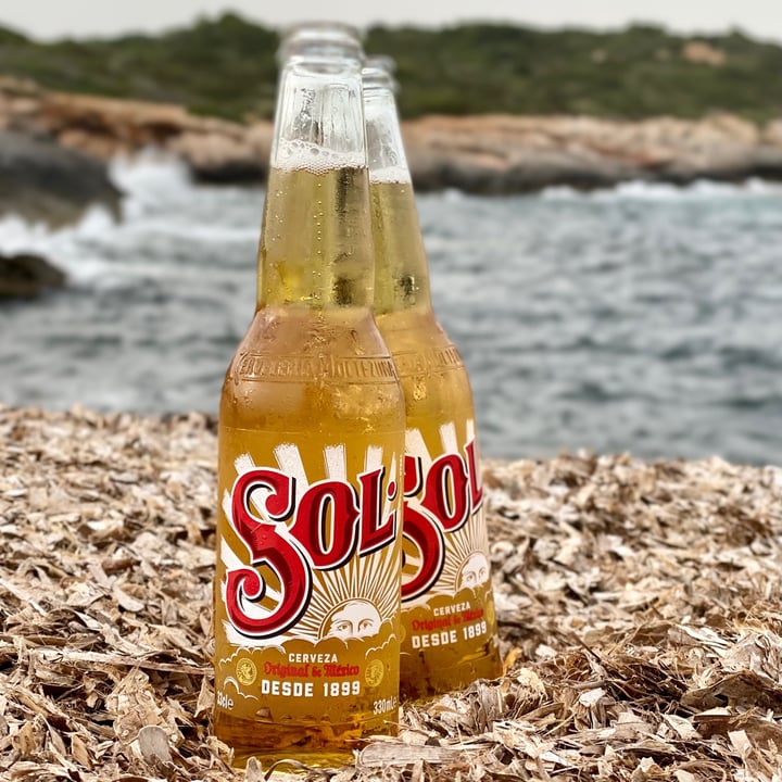 Cervecería Cuauhtémoc Moctezuma Sol Review | abillion