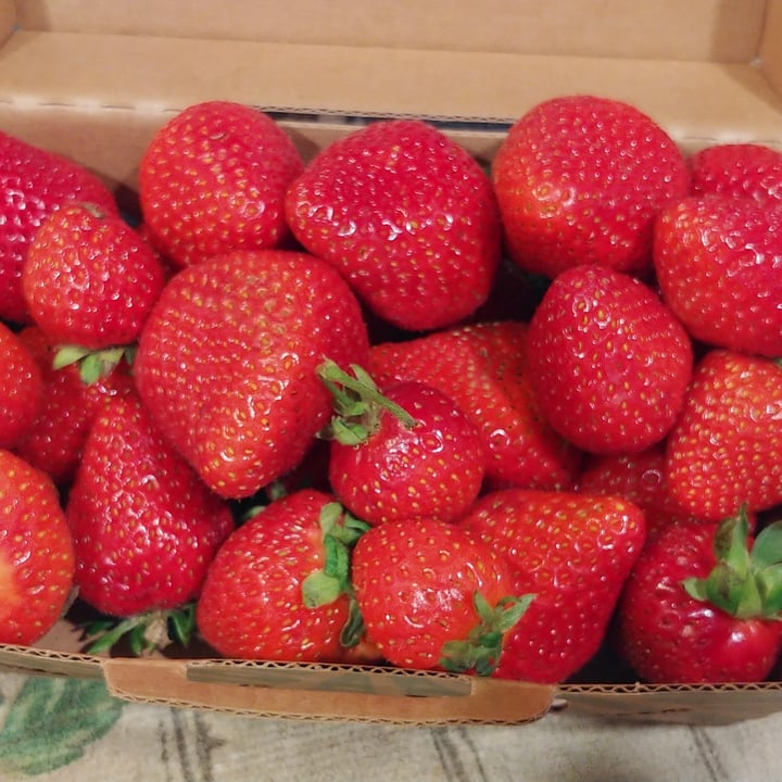 Coke Farm Organic Strawberries Review | abillion