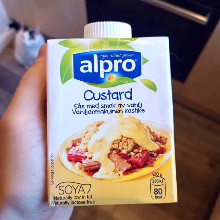 Alpro vegan custard Review | abillion