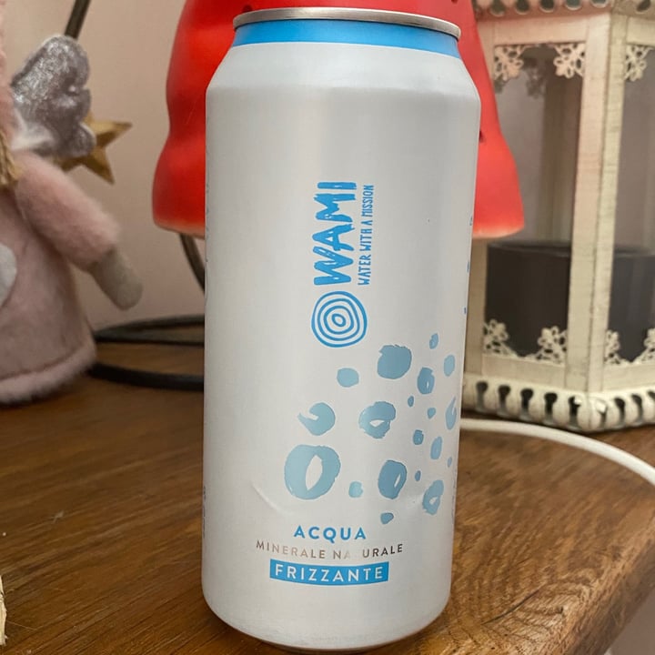 Wami srl Water with a mission Review | abillion