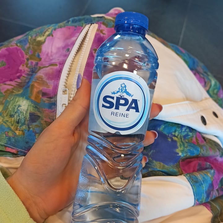 Spa Reine water Review | abillion