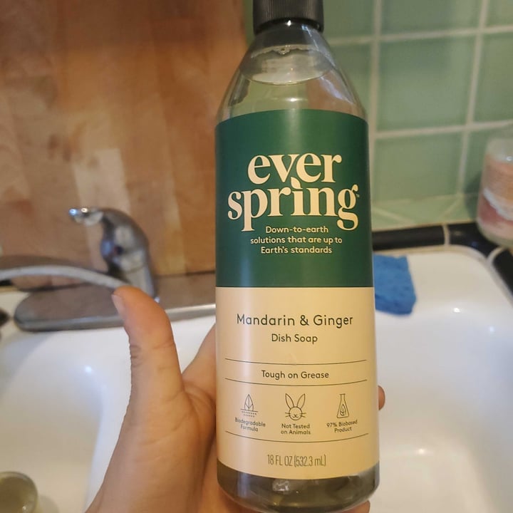 Ever Spring Dish Soap Review | abillion