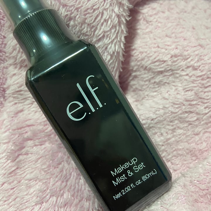 e.l.f. Cosmetics Makeup Mist & Set Review | abillion
