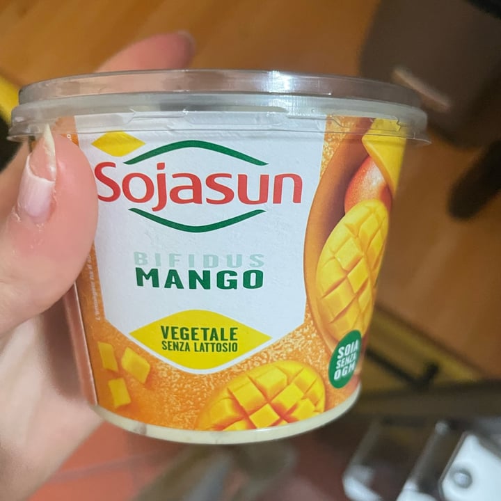 Sojasun Bifidus Mango Review | abillion
