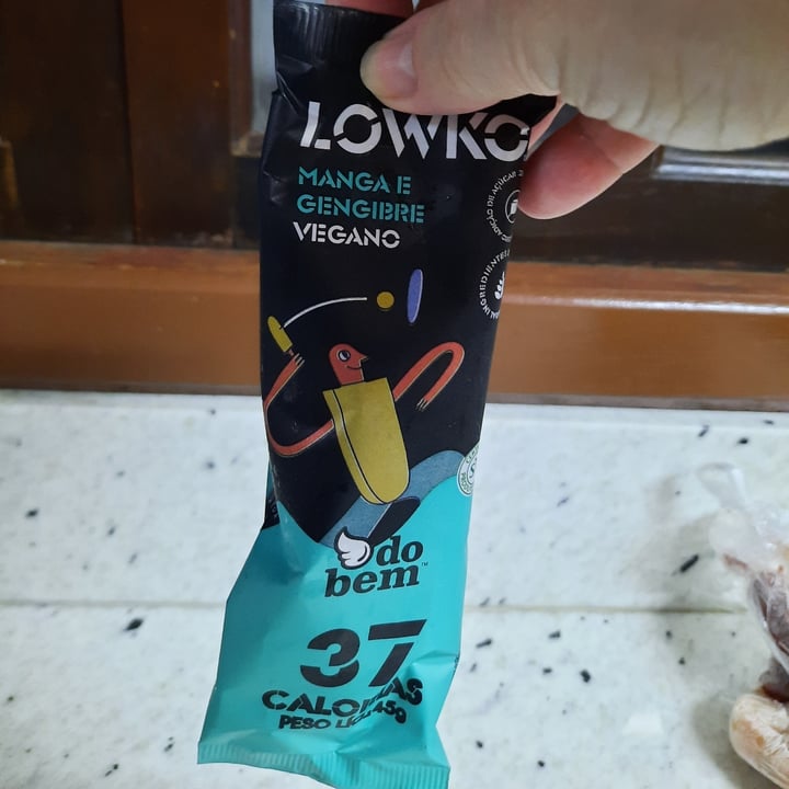 Lowko Sorvete Review | abillion