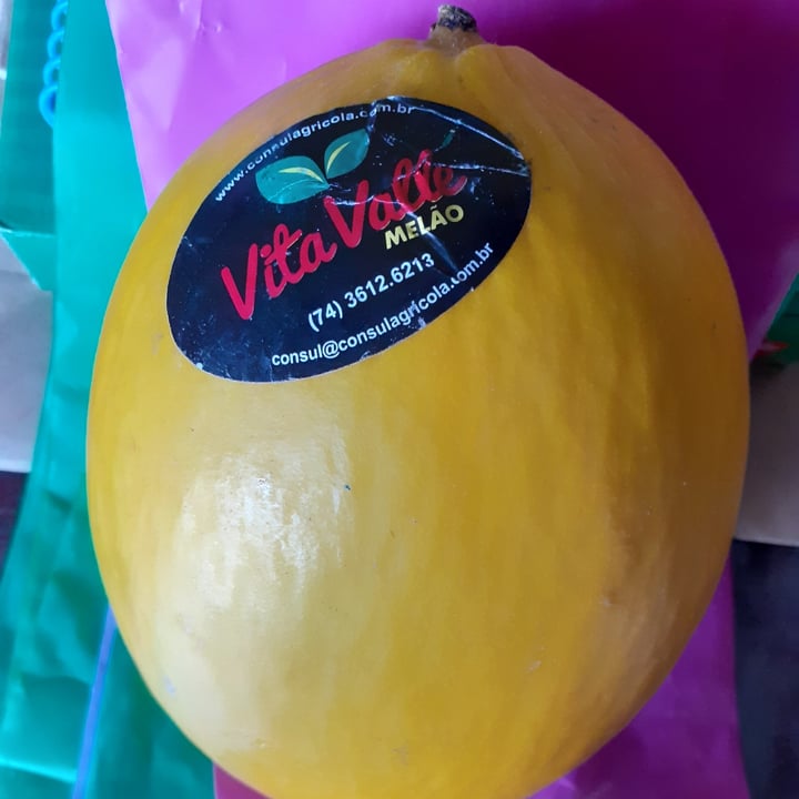 Vita Valle Melão Review | abillion
