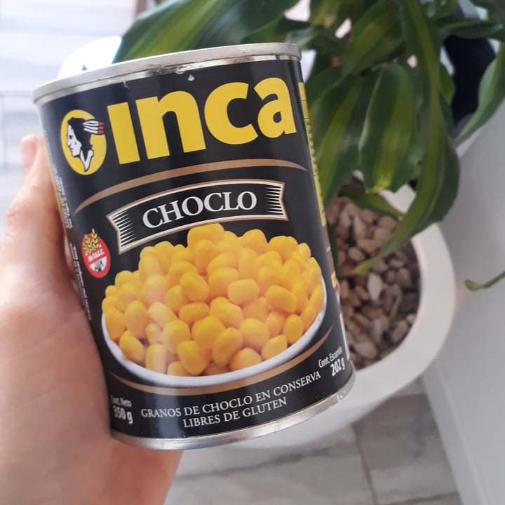 Inca Choclo Reviews | abillion