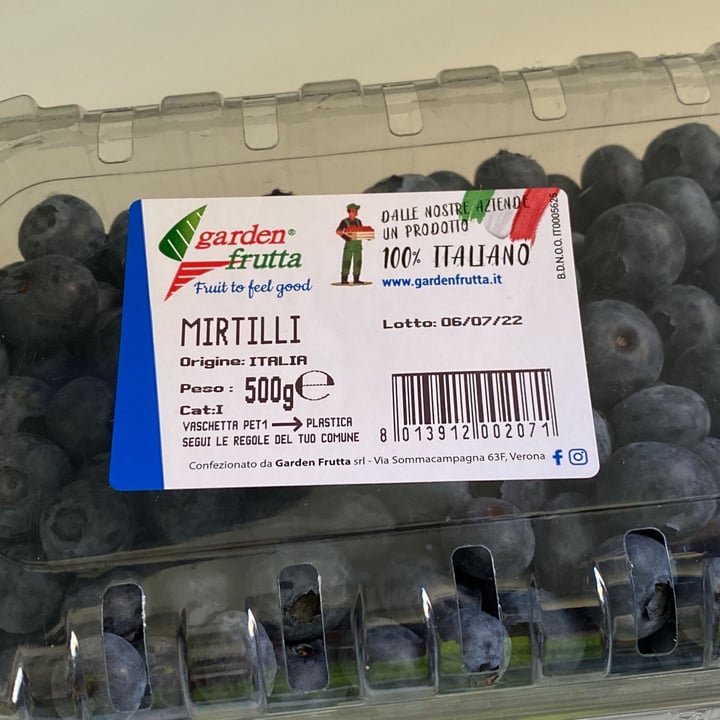 Garden frutta mirtilli 500gr Review | abillion