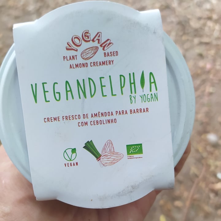 Yogan Vegandelphia Review | abillion