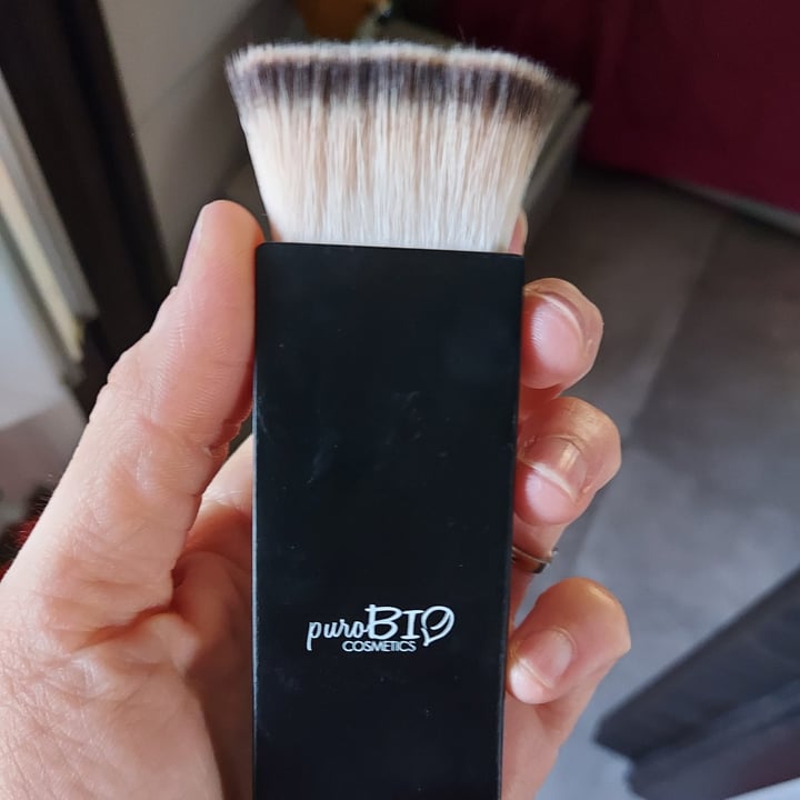 Purobio cosmetics Pennello Review | abillion