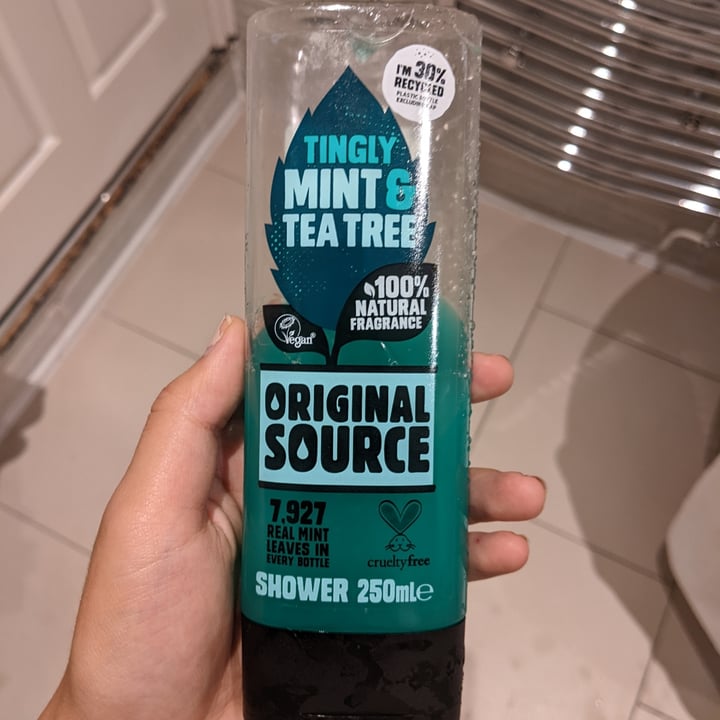 Original Source Tingly Mint & Tea Tree Review | abillion