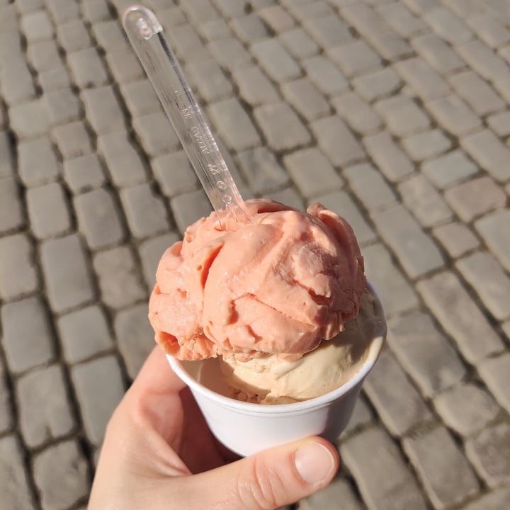 Gelato Ladies Kesklinn, Tallinn, Estonia Blood orange gelato Review ...